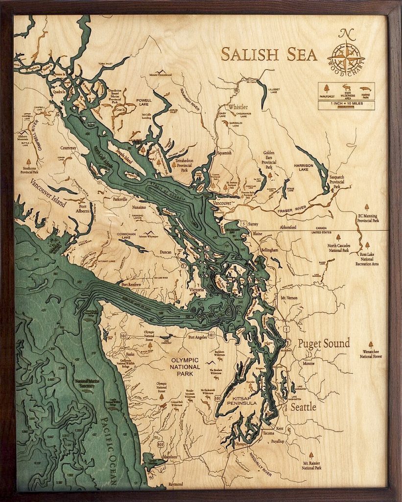 Bathymetric Map Salish Sea, Washington - Scrimshaw Gallery