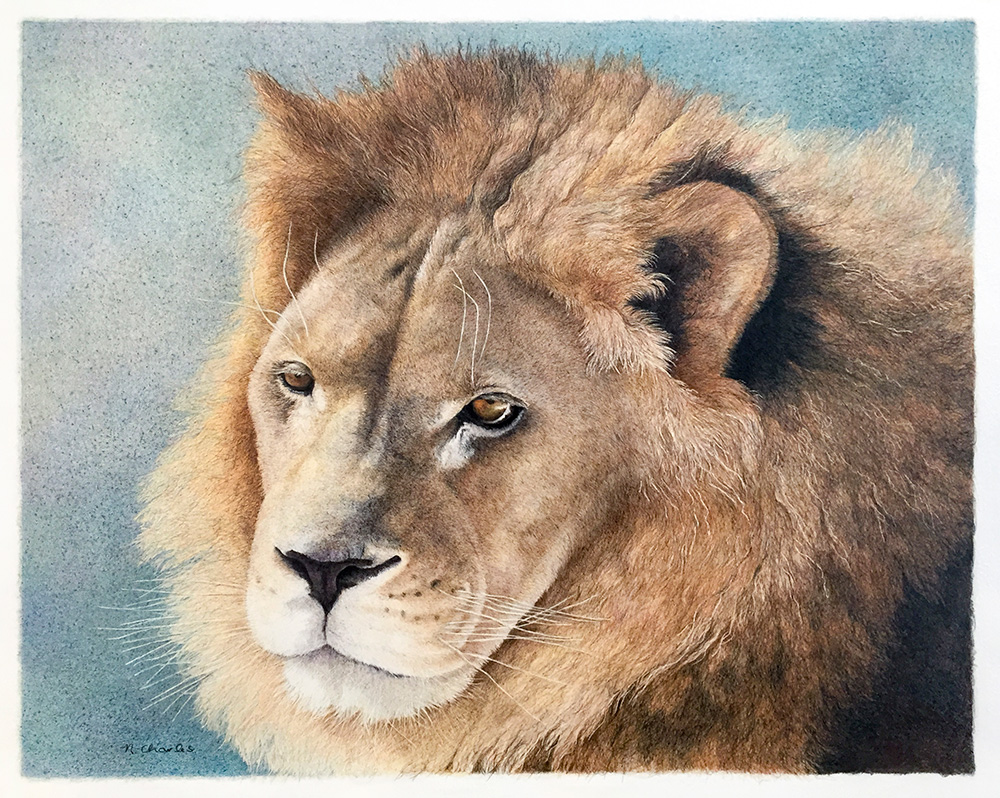 Nancy Charles Original Drawing - Lion - Scrimshaw Gallery