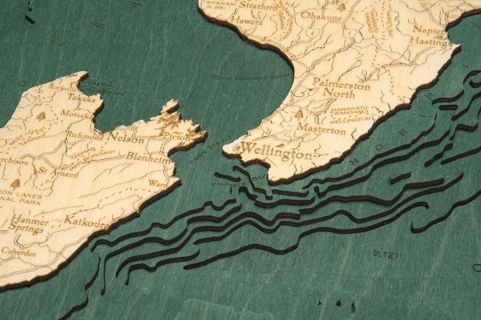 Bathymetric Map New Zealand - Scrimshaw Gallery